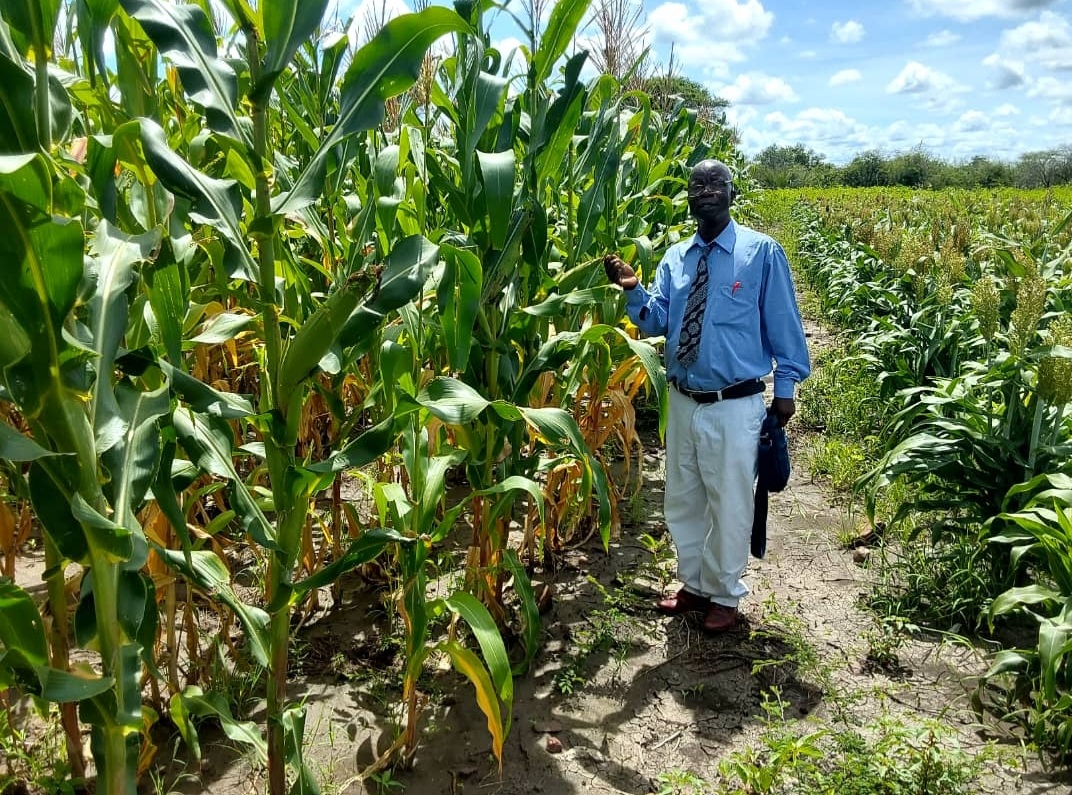 How a Lupane school is revolutionizing farming - Matebeleland Pulse